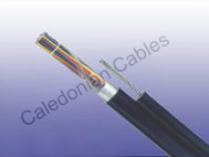 Solid PE Insulated & LAP Sheathed Air Core Cables to IEC 60708 ...